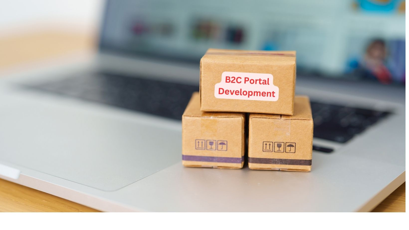 Exploring B2C Portal Development: Benefits, Various Models, and ...